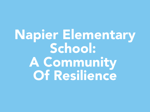 Napier Elementary School: A Community of Resilience - Move This World
