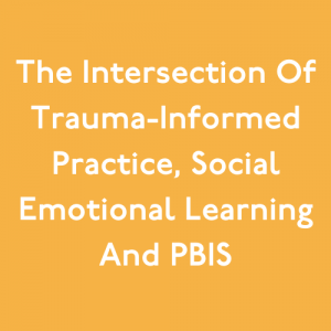The Intersection of Trauma Informed Social Emotional Learning Practice ...