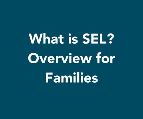 What is SEL? Overview for Families - Move This World