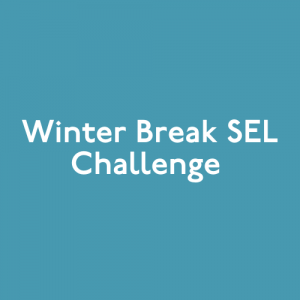 Winter SEL Activities - Move This World