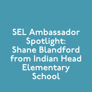 SEL Ambassador Spotlight: Sarah Gaw from Distinctive Schools - Move ...